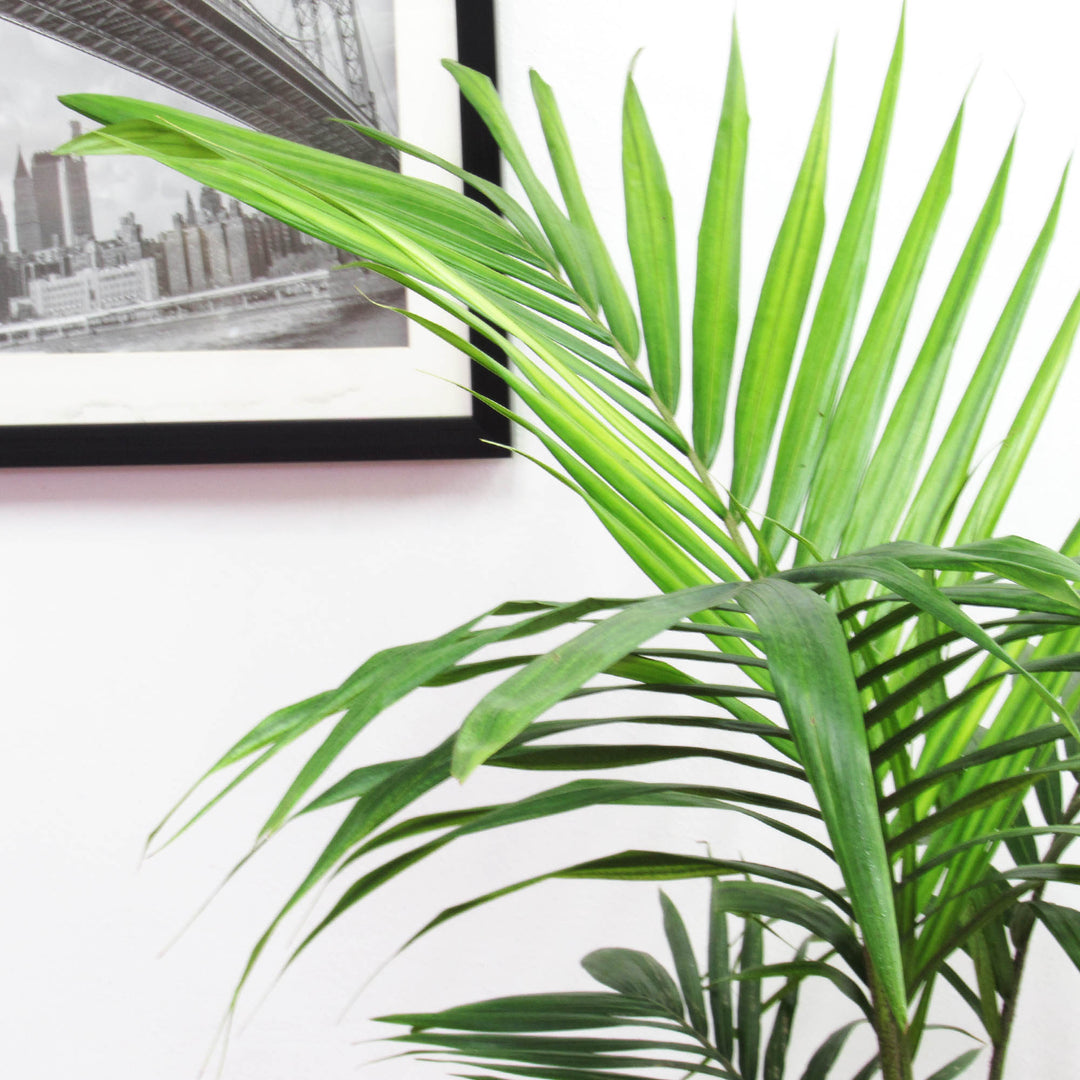 Plantas L – DECOPLANTAS